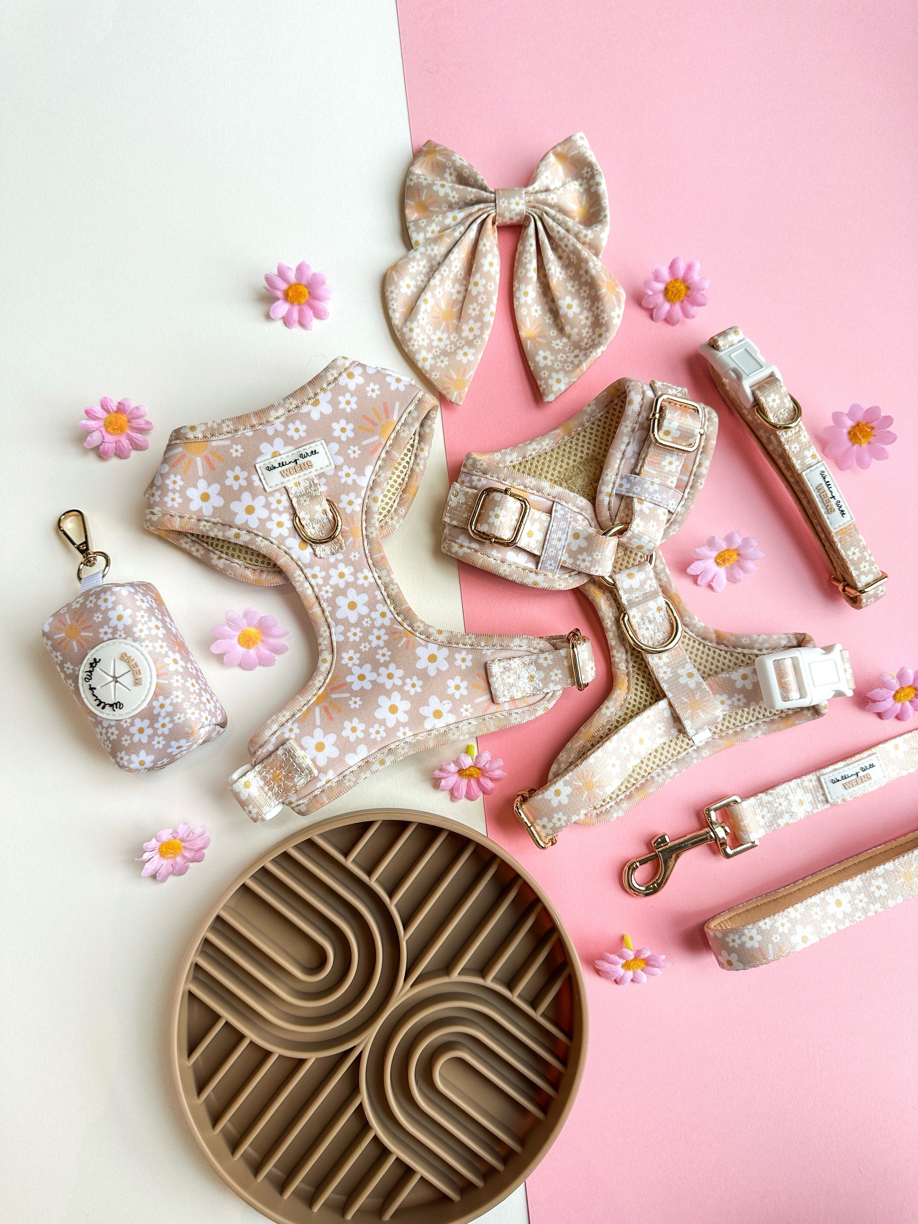 Summer Daze Collection – Walkingwithweens