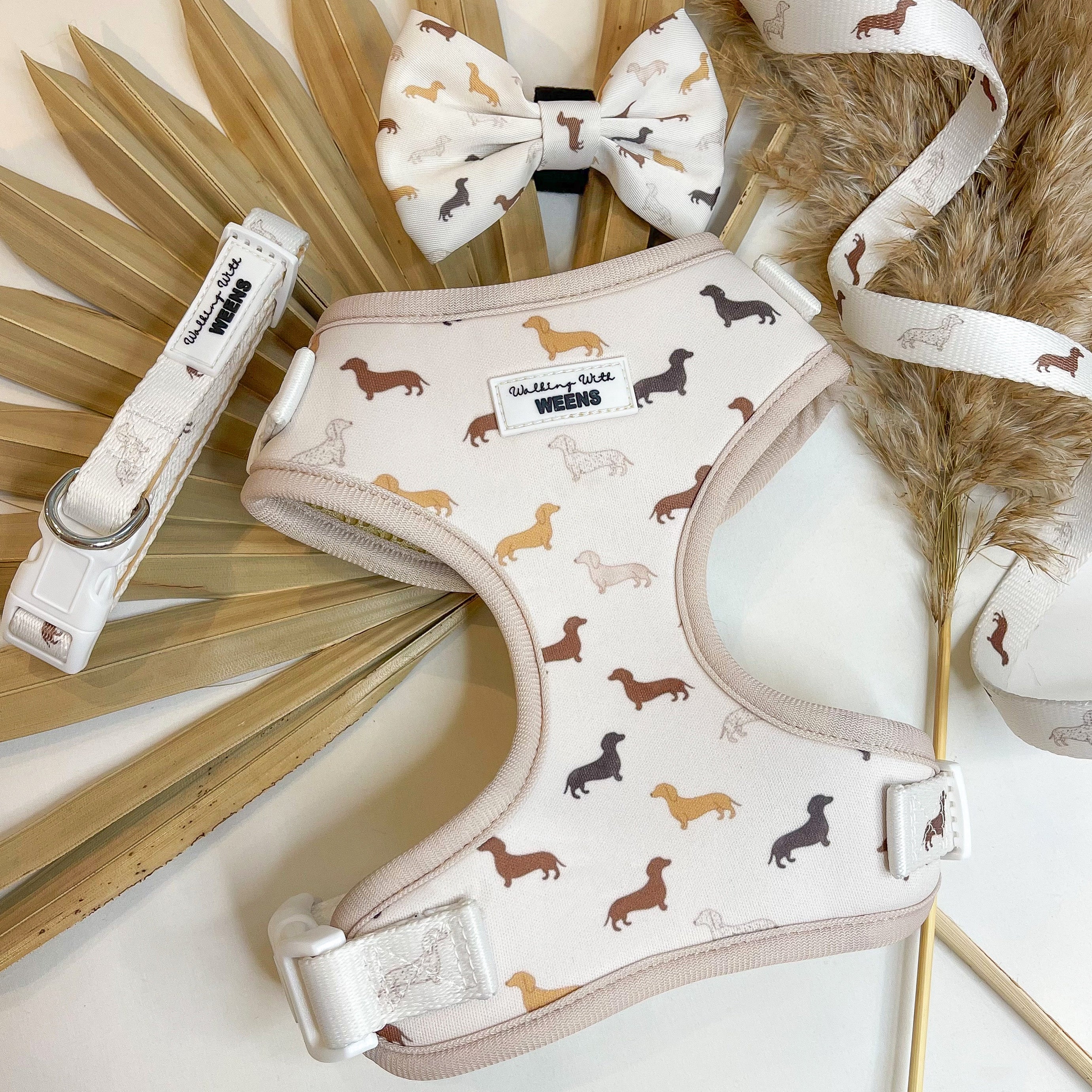 Walking Weens Collection – Walkingwithweens