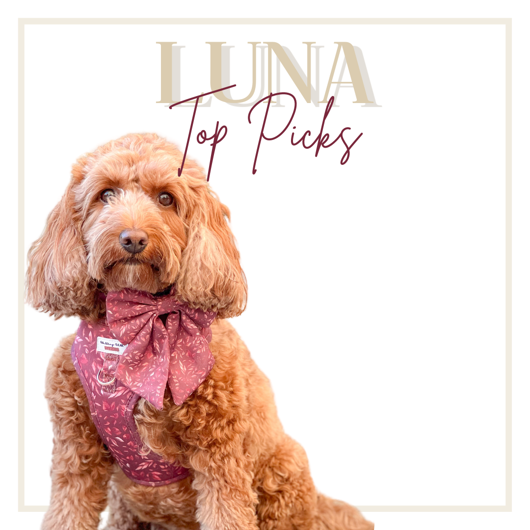Luna’s Top Picks – Walkingwithweens